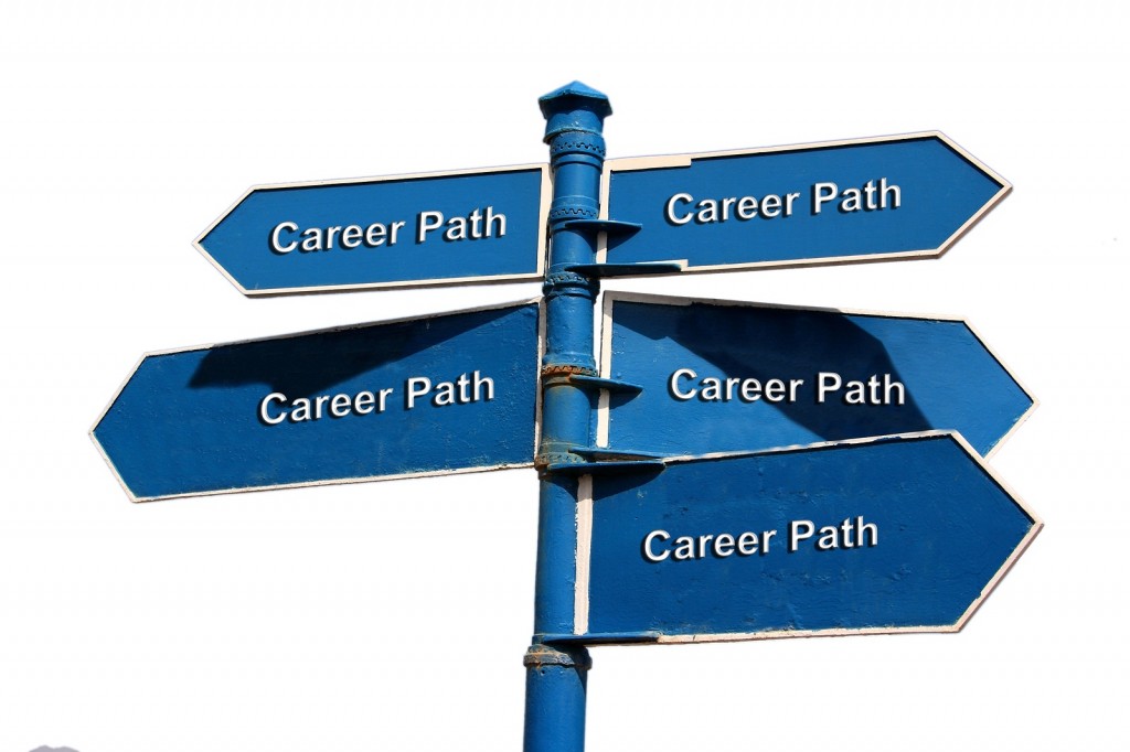PhD Career Path Tracking – CIRGE